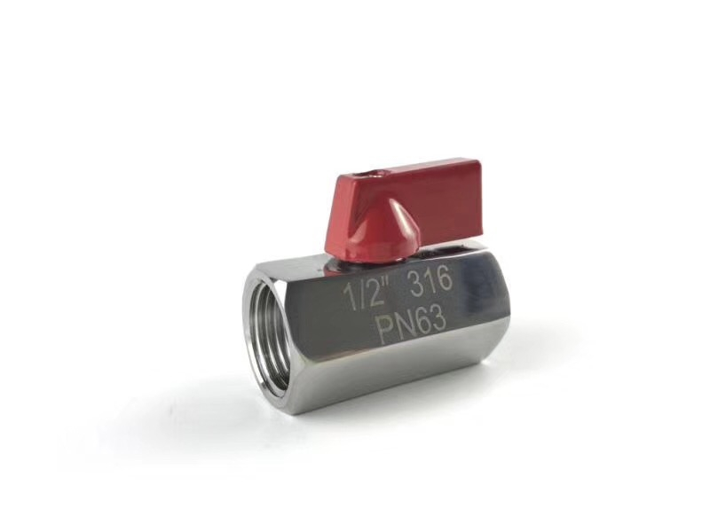 Stainless Steel (316) Mini Ball Valve - FXF BSPT G BSPP Threaded - Buy ...